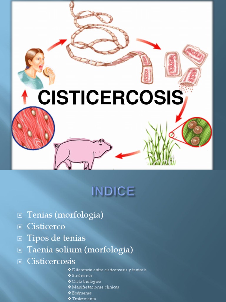 Diferencias entre teniasis y cisticercosis | PDF