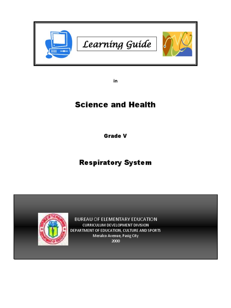Respiratory System Learning Guide | PDF | Lung | Breathing