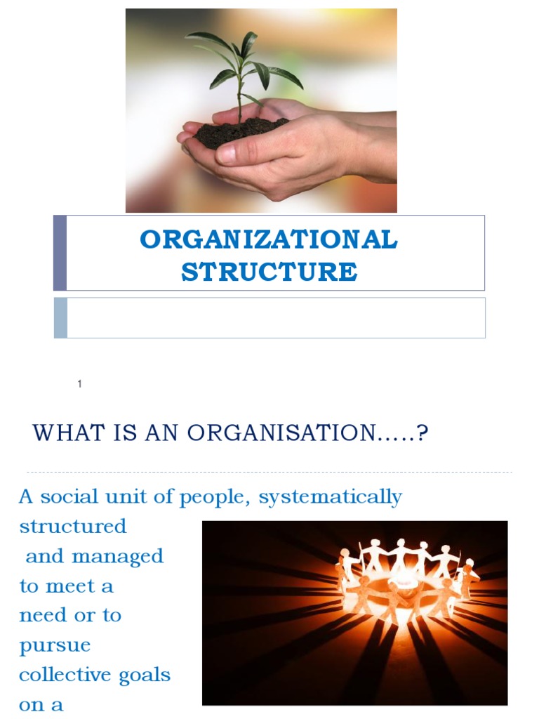 Org Stucture | PDF | Organizational Structure | Business