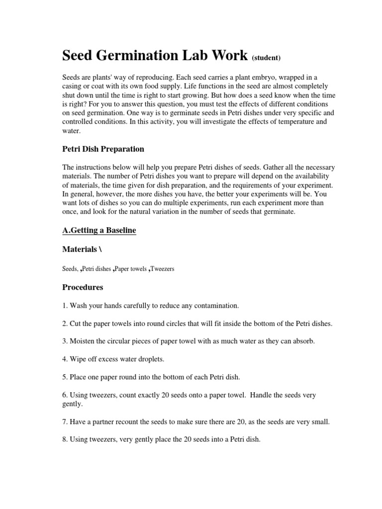 Seed Germination Lab Work | PDF | Seed | Germination