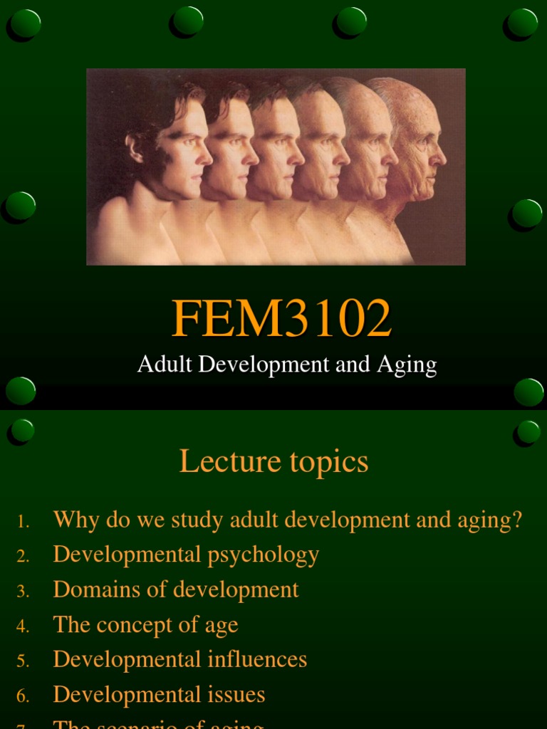 Adult Development and Aging | PDF | Developmental Psychology ...