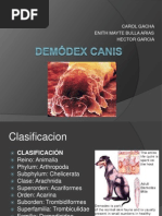 Otobius Megnini. Parasitologia. | PDF