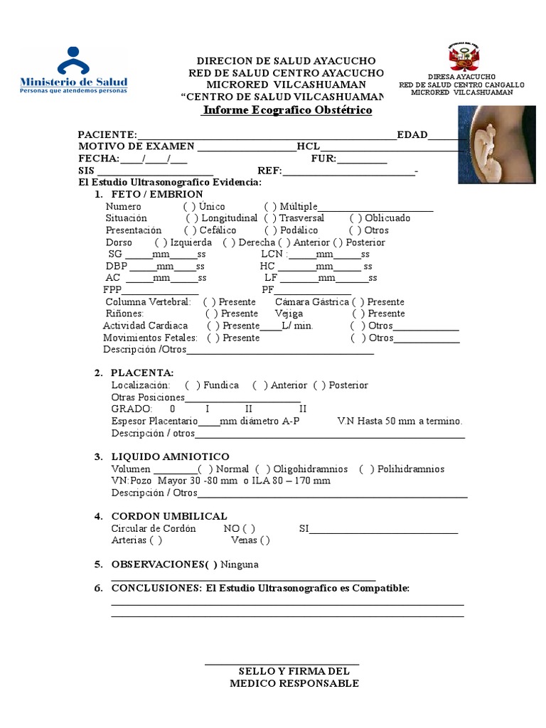 INFORME ECOGRAFICO | Feto | Órgano (anatomía)