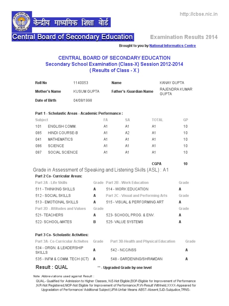 Class X Examination Results Overview | PDF