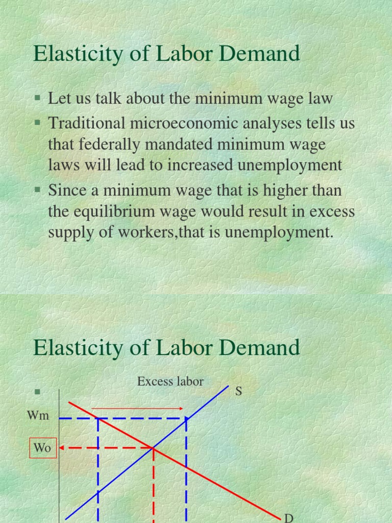 The Elasticity of Labor Demand | Labour Economics | Demand