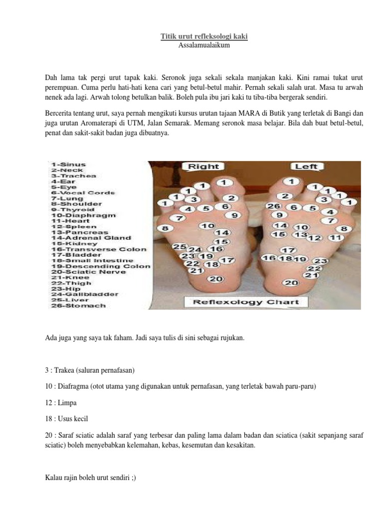 Titik Urut Refleksologi Kaki Pdf