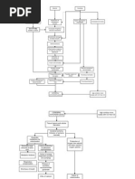 Pathophysiology of Cva-Hpnii-Hemorrhagic Stroke | PDF | Stroke | Neurology