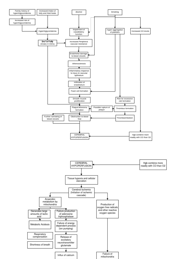 Pathophysiology Diagram - Stroke | PDF