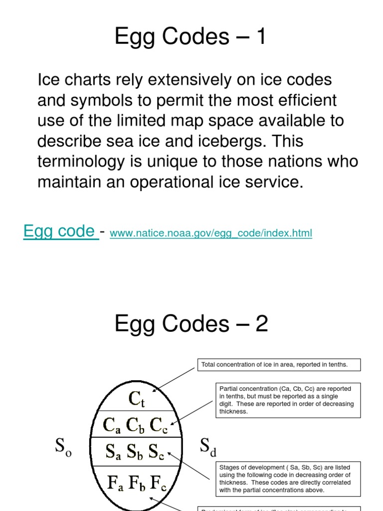 Lecture - Egg Codes | PDF | Ice | Sea