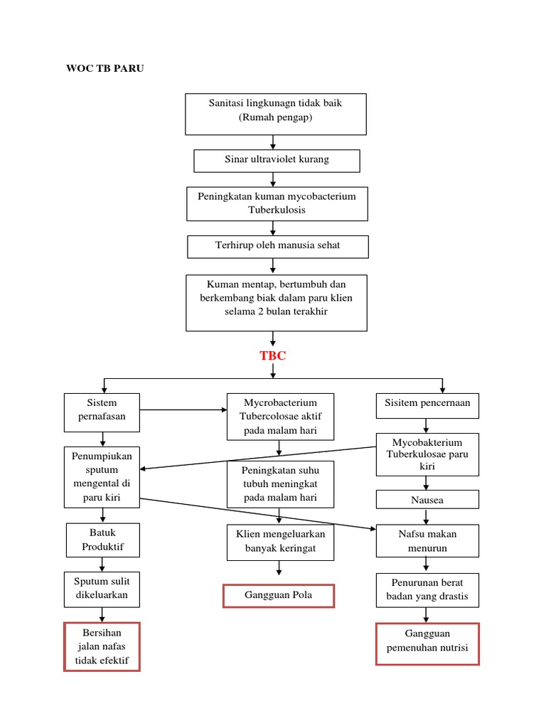 Woc TB Paru | PDF