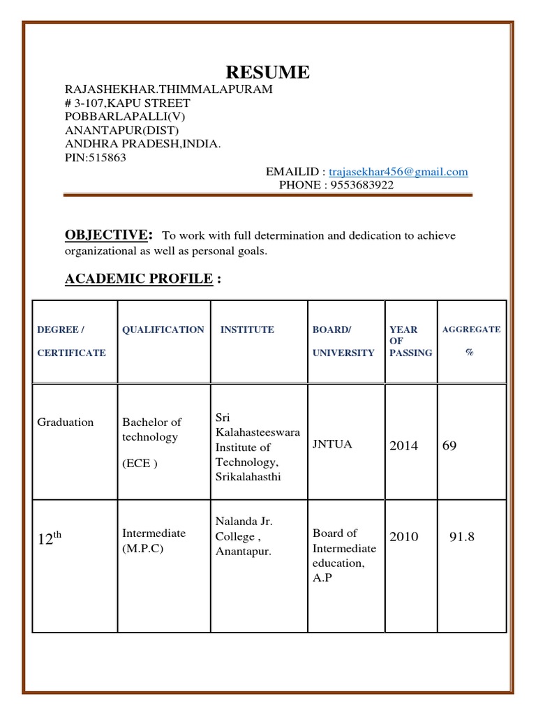 Raj's Resume | PDF