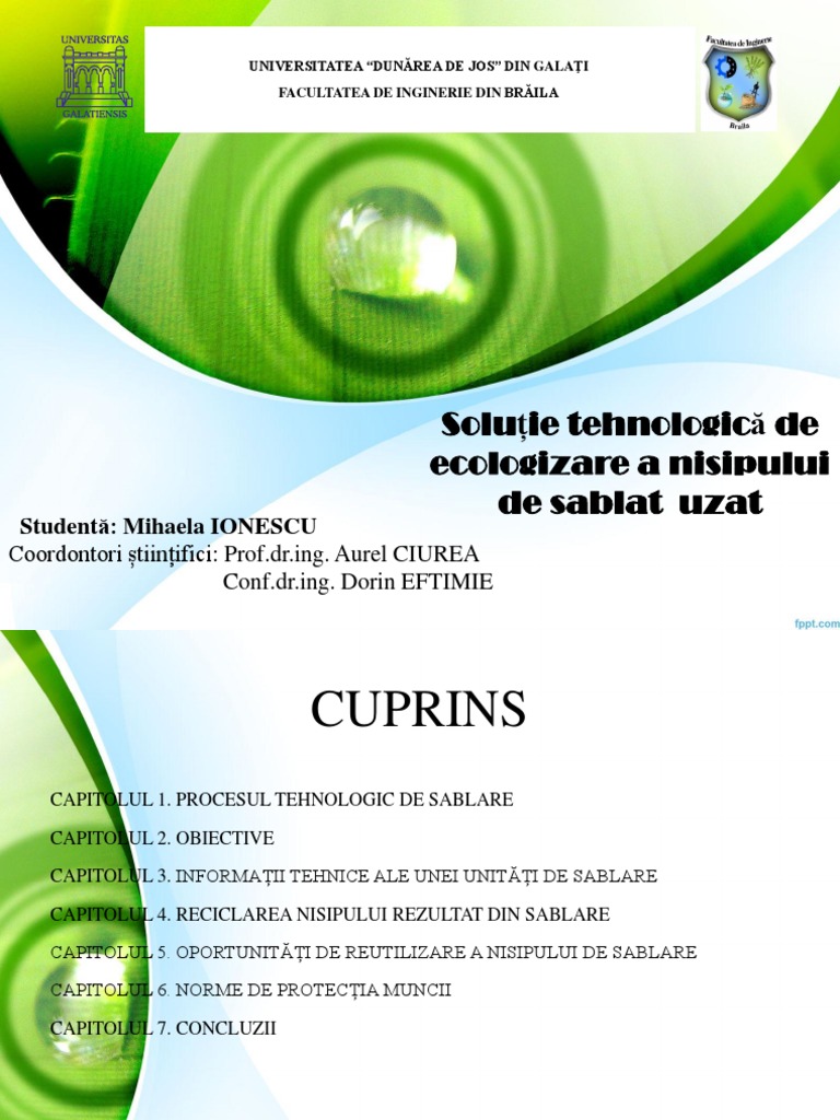 Prezentare Power Point Licenta | PDF