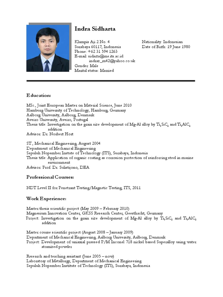 CV Indra S | PDF | Mechanical Engineering | Engineering