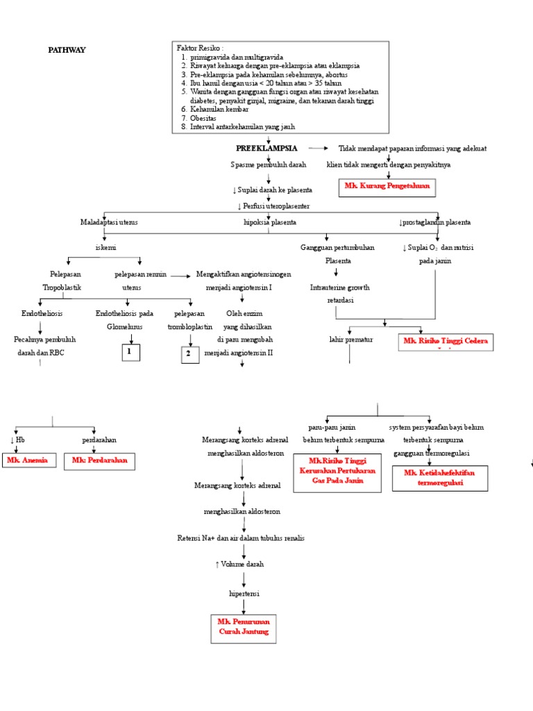 Pathway Preeklamsi | PDF
