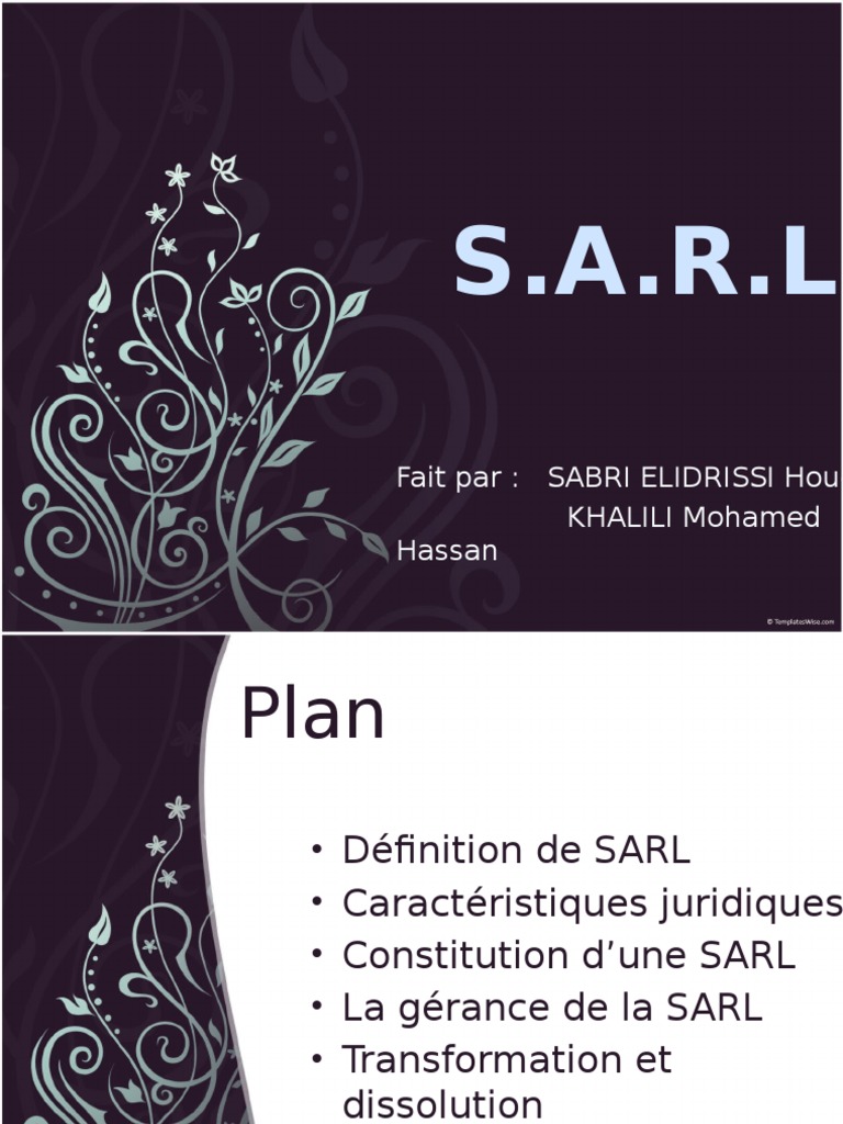 Caractéristiques de la SARL en détail | PDF | Gouvernement | Business