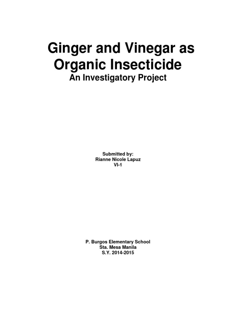 Ginger and Vinegar as Organic Insecticide | PDF | Insecticide | Vinegar