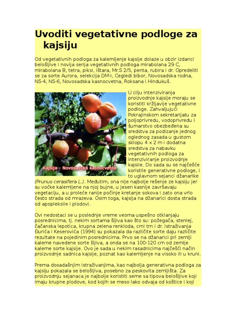 Uvoditi Vegetativne Podloge Za Kajsiju | PDF