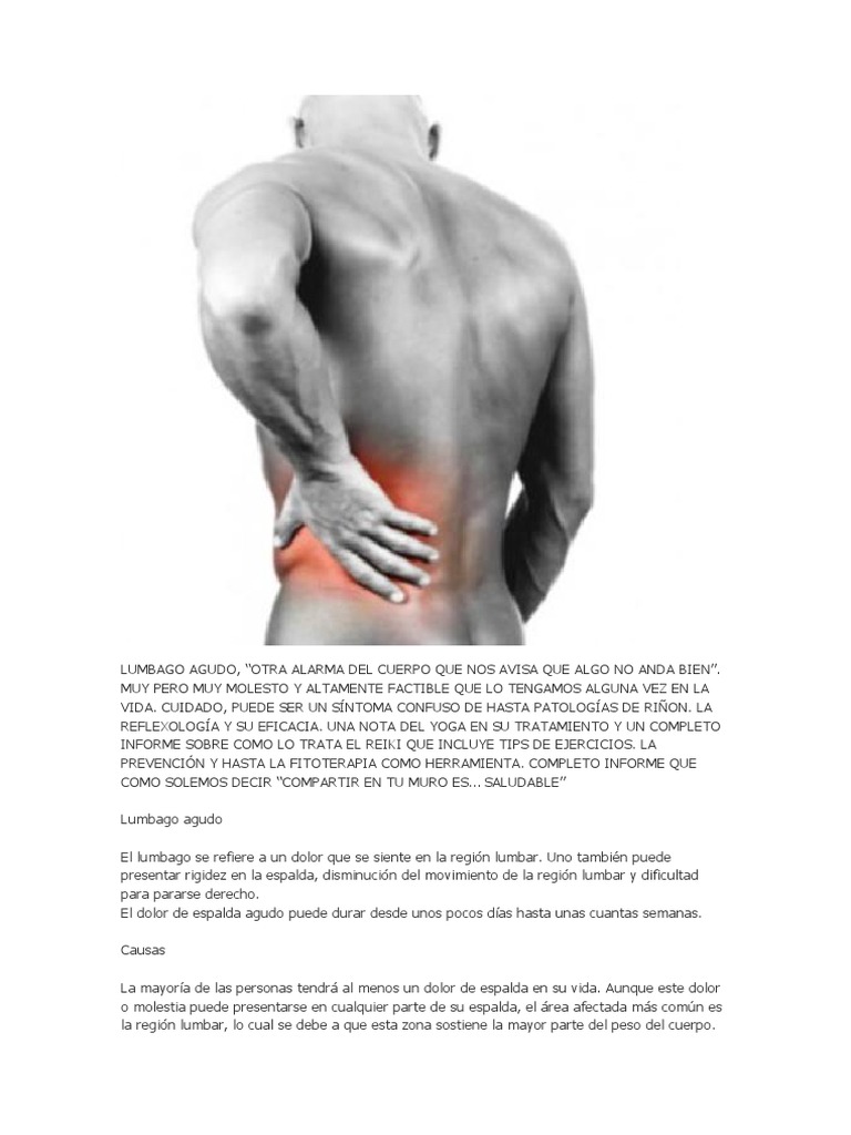 Lumbago Agudo | PDF | Dolor lumbar | Términos anatómicos de ubicación