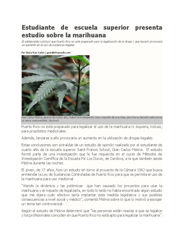 Estudiante de Escuela Superior Presenta Estudio Sobre La Marihuana ...