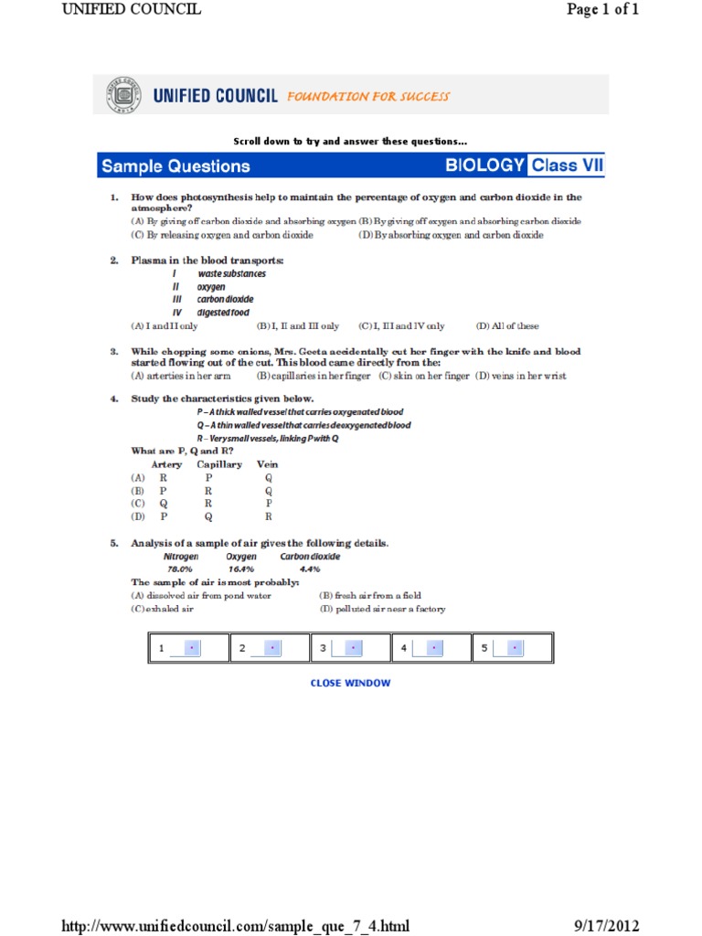 Scroll Down To Try and Answer These Questions... : Close Window | PDF