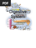 Grade 8 Digestive System | PDF