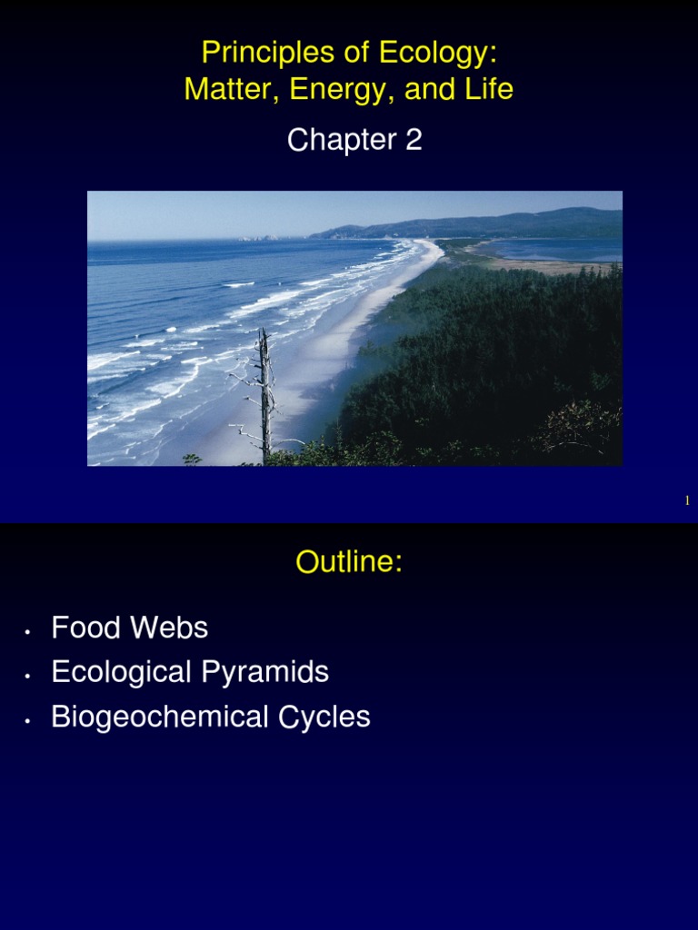Ecology: Food Webs & Biogeochemical Cycles | PDF | Food Web | Ecosystem