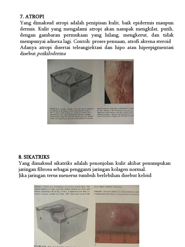 Pemeriksaan UKK kulit