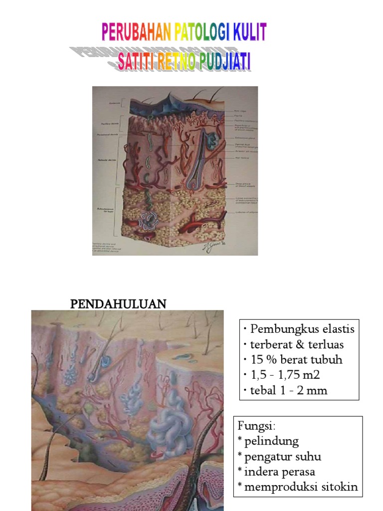 Pemeriksaan UKK Kulit - 2 | PDF