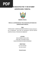 Proyecto de Locote en Paraguay | PDF | Pimiento | Economias