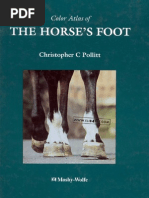 Parelli Pocket Guide | PDF | Horse Gait | Equus