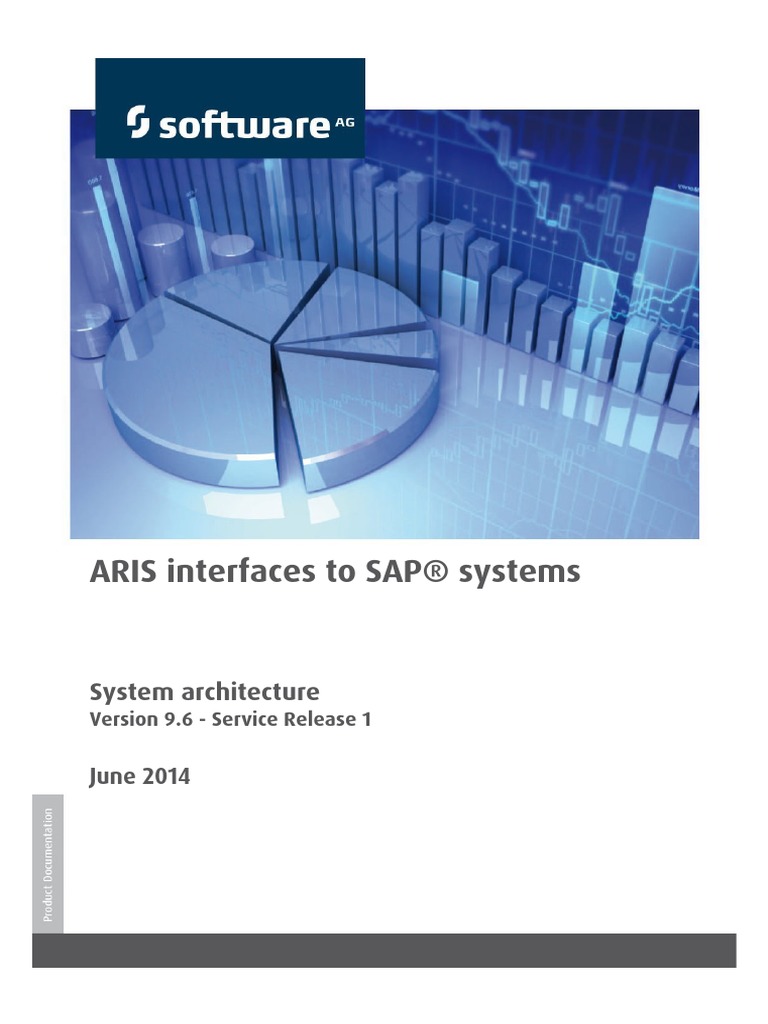 System Architecture of SAP Interfaces | Application Programming Interface | Server (Computing)