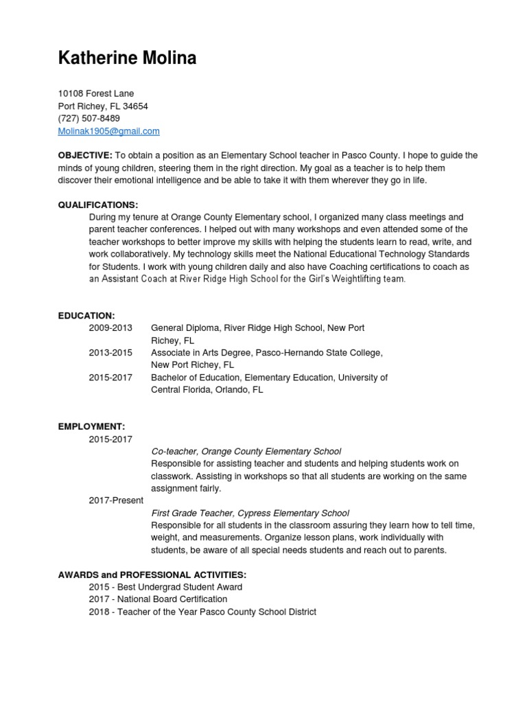 Fake Resume | PDF