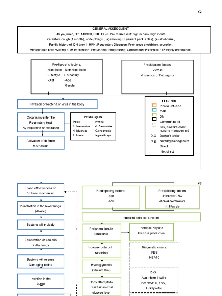 Patho Diagram (Pneumonia With DM and HPN) | PDF | Epidemiology ...