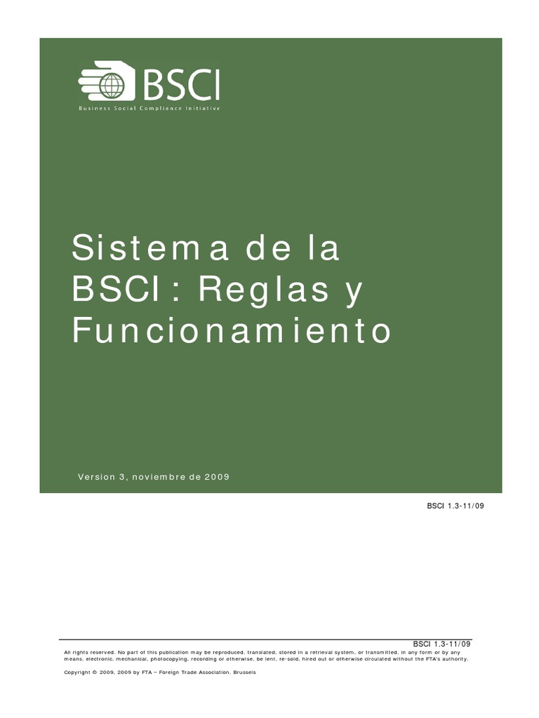 BCSI - Reglas y Funcionamiento | PDF