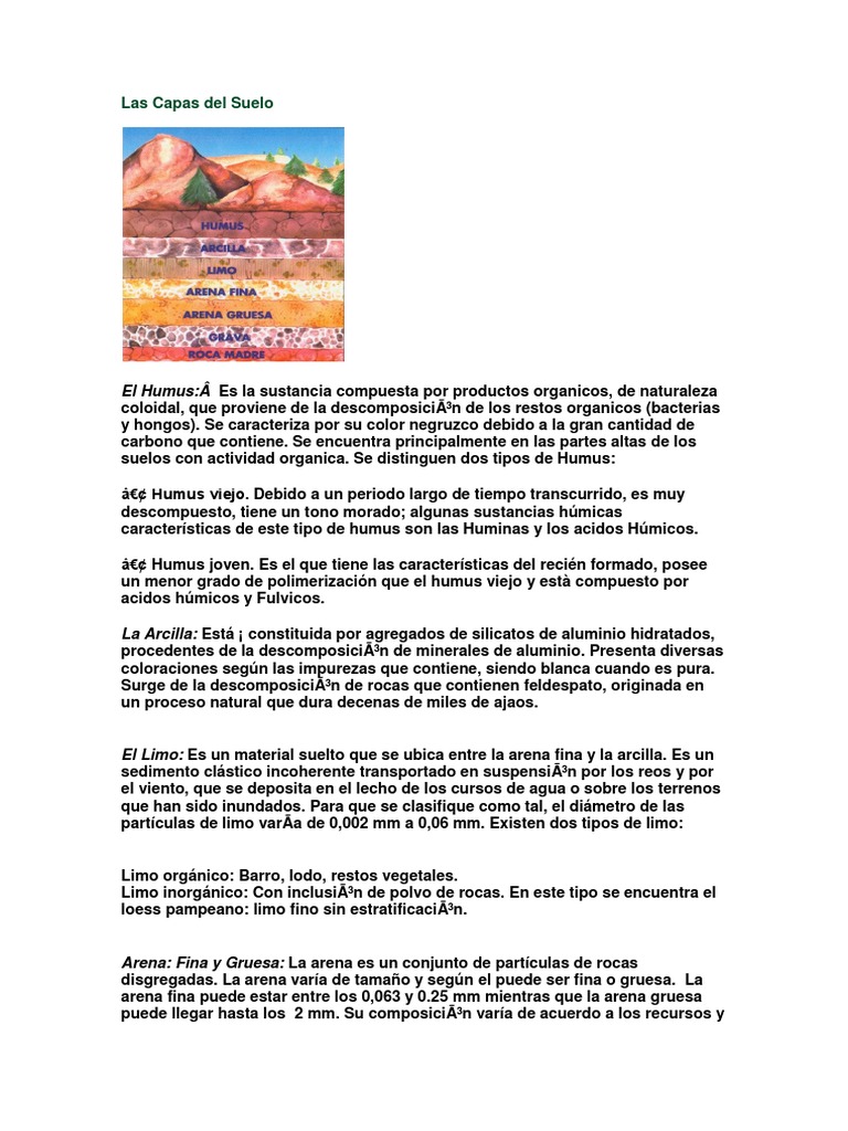 Capas del Suelo: Humus, Arcilla y Arena | PDF | Arena | Suelo