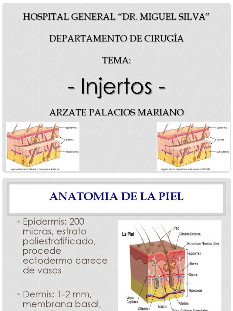Clasificación y cuidados de injertos de piel | PDF | Piel | Epidermis