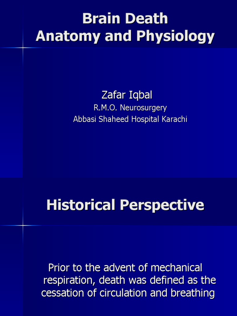 Brain Death Anatomy and Physiology | PDF | Brainstem | Diseases And ...
