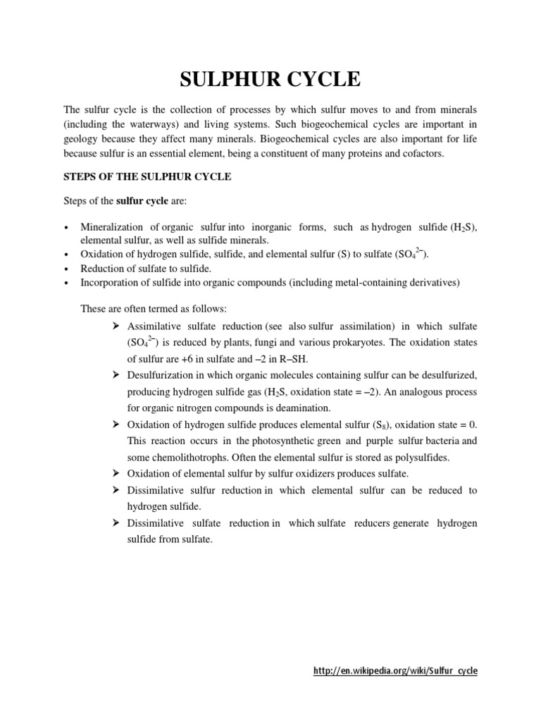 SULPHUR CYCLE.docx | Sulfur | Chemical Elements