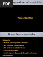 HDI Project Class12 | PDF