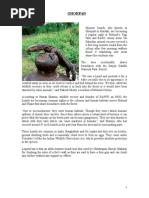 Ghorpad | PDF