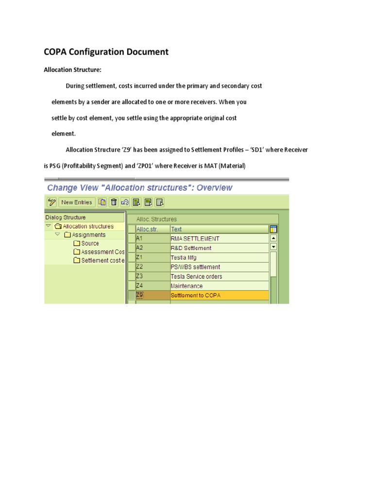 COPA Configuration and Allocation Guide | PDF
