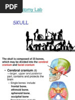 Chapter 7 Lab Assignment - Axial Skeleton Labeling | PDF | Vertebra | Skull