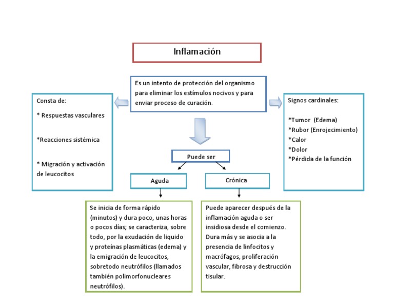 Mapa Conceptual Inflamacion | Inflamación | Ciencias de la Salud