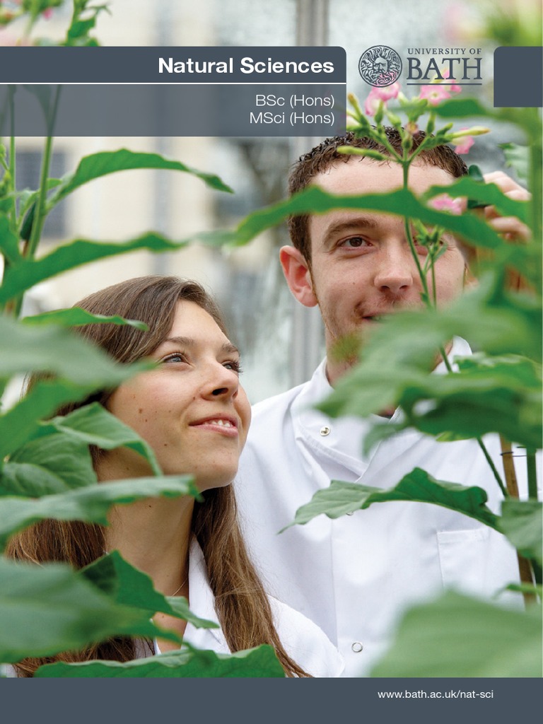 Natural Sciences Brochure6ppA4 | PDF | Academic Degree | Master Of Science