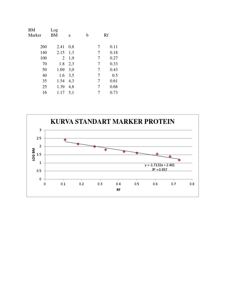 BM Marker Log Analysis | PDF