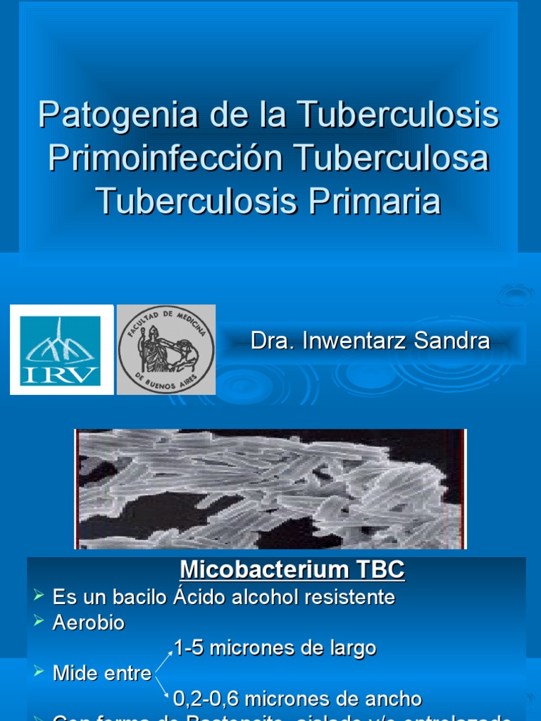 Patogenia de la Tuberculosis | Tuberculosis | Sistema inmunológico