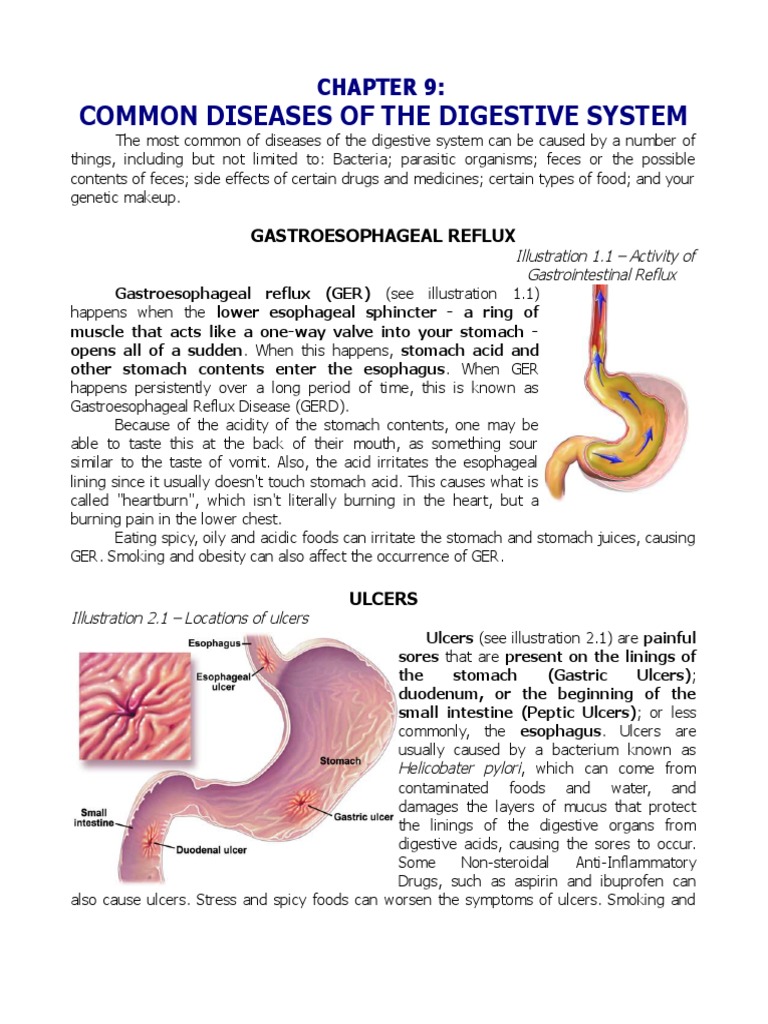 Diseases of The Digestive System | PDF | Digestive System ...