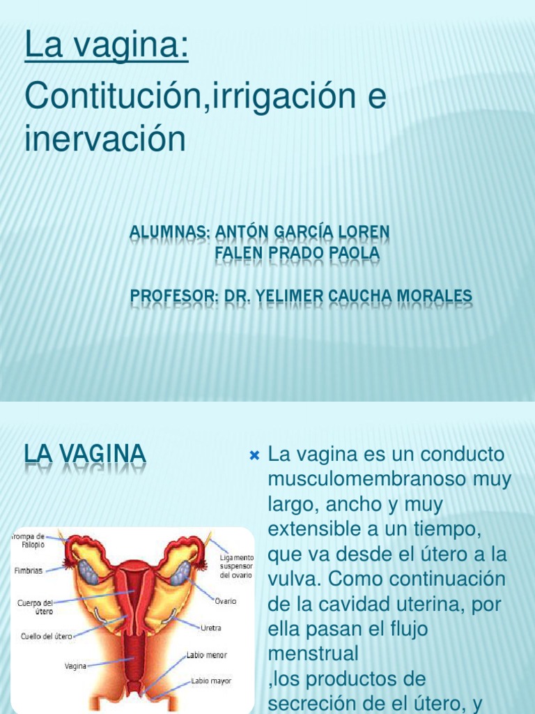 Anatomia de La Vagina | PDF | Vagina | Labios