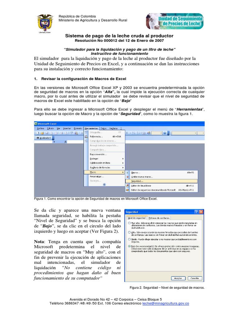 Instructivo Simulador | PDF | Microsoft | Microsoft Excel