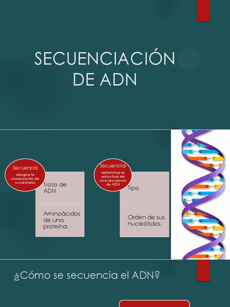Secuenciación de Adn | Secuencia ADN | Adn